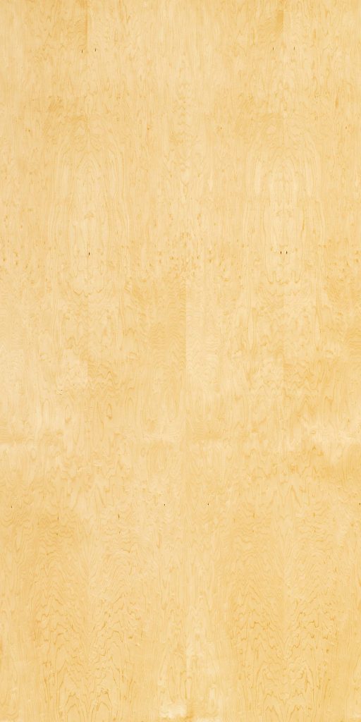 Maple Hard: Rotary Slice - TruGrade Wood Veneer Gallery